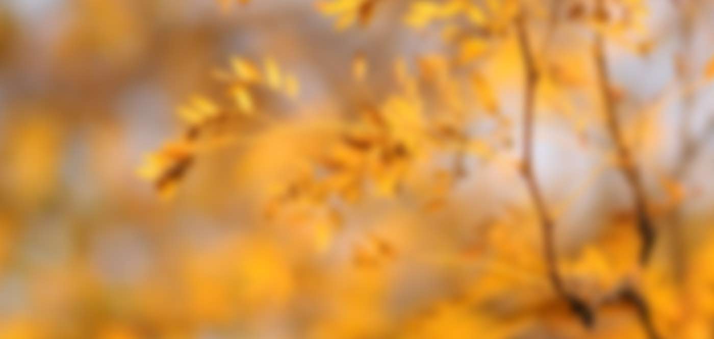 Alumni - Friends University